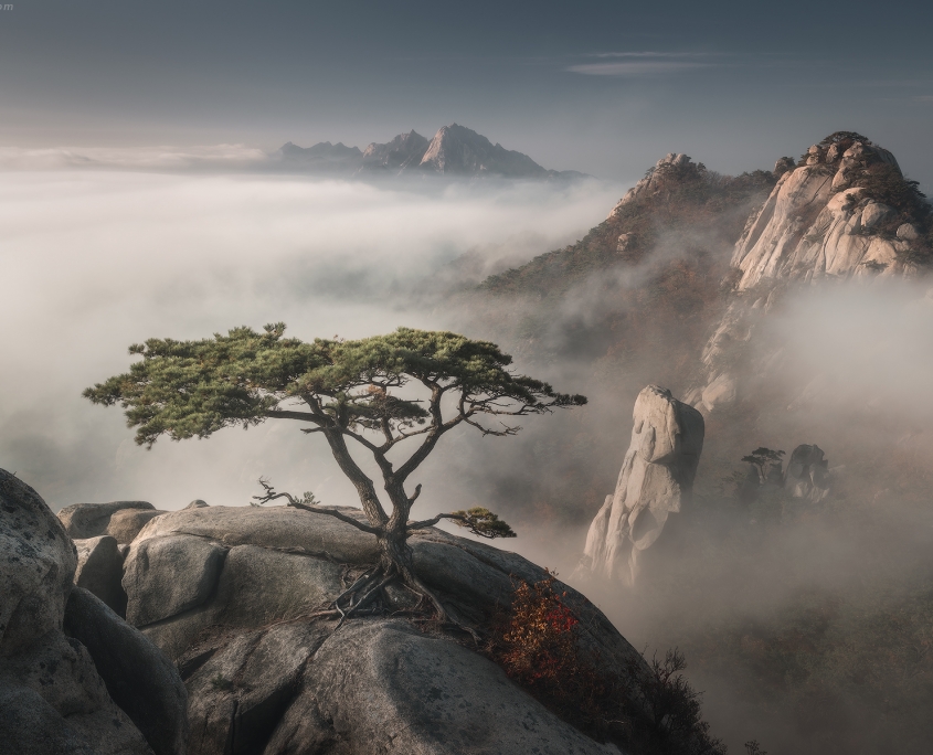 Gallery – Daniel Kordan